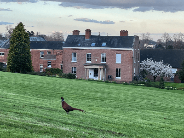 In Search of Home – Peter Middleton