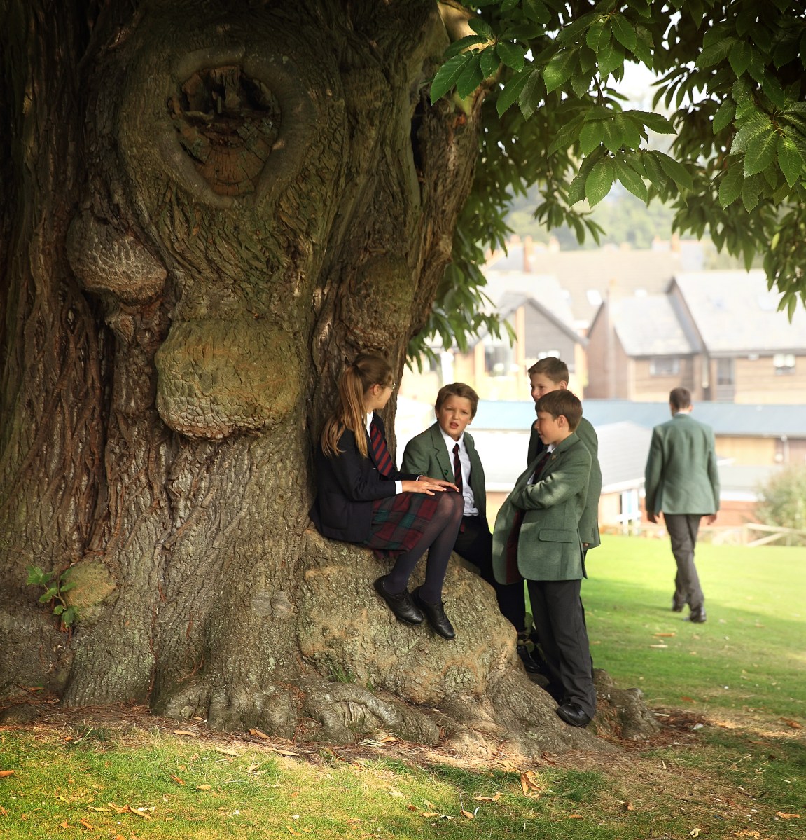 The Roots of Change – Peter Middleton